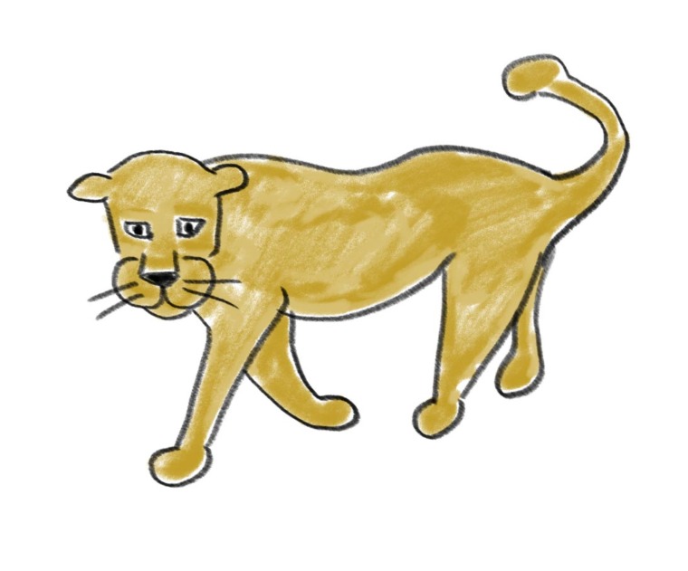How to draw: Draw a leopard in 10 steps – Mongabay Kids