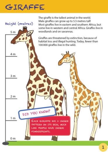 Wild about giraffes – Mongabay Kids