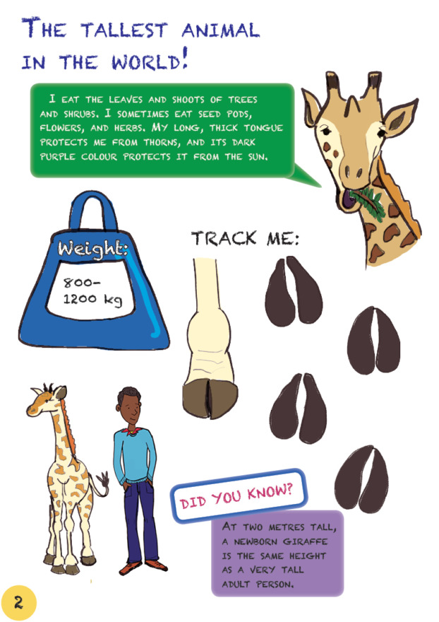 Wild about giraffes – Mongabay Kids