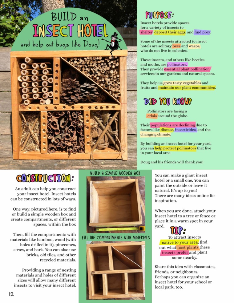 Build an insect hotel – Mongabay Kids