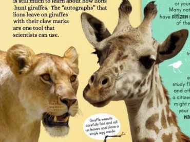 Tenrec time: Freaky, streaky, and squeaky – Mongabay Kids