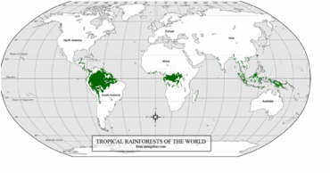 Biodiversity part 1: What is biodiversity? – Mongabay Kids