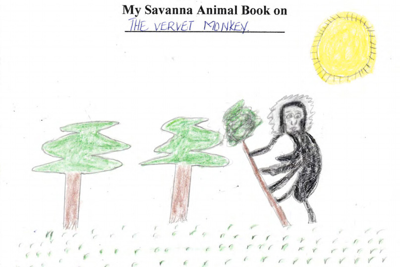 Ecosystem books – Mongabay Kids