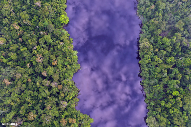 Welcome to the rainforest! – Mongabay Kids