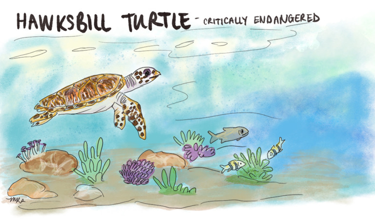 Endangered animal art activity – Mongabay Kids