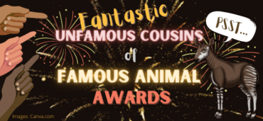 Animal runners-up: Meet the unfamous cousin of the ostrich – Mongabay Kids