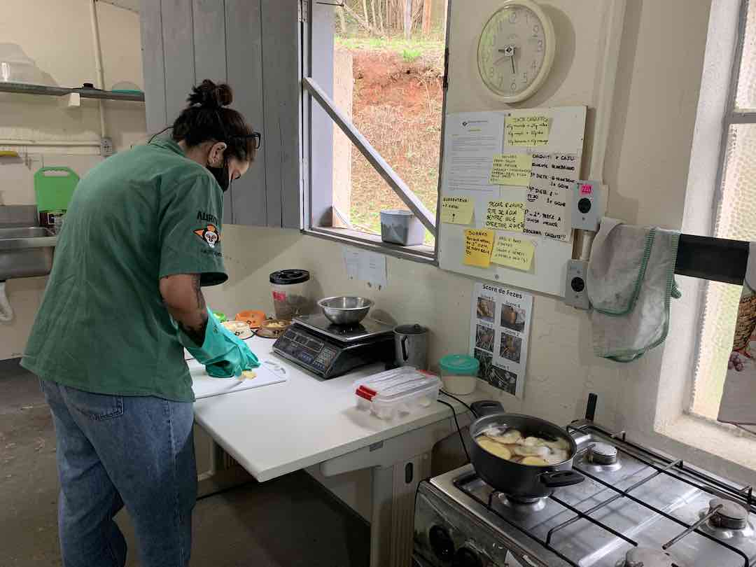 Larissa studies and protects the buffy-tufted marmoset – Mongabay Kids