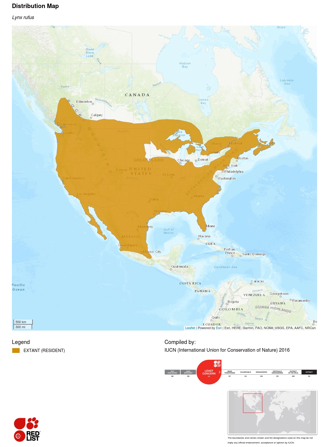 Meet a North American cat that can leap! – Mongabay Kids