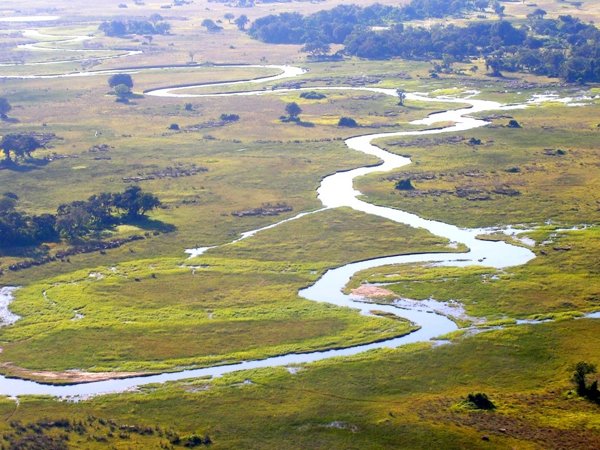 Activity: Imagine life as an animal in the Okavango Delta – Mongabay Kids
