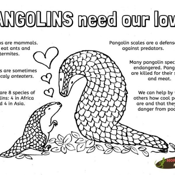 color by number – Mongabay Kids