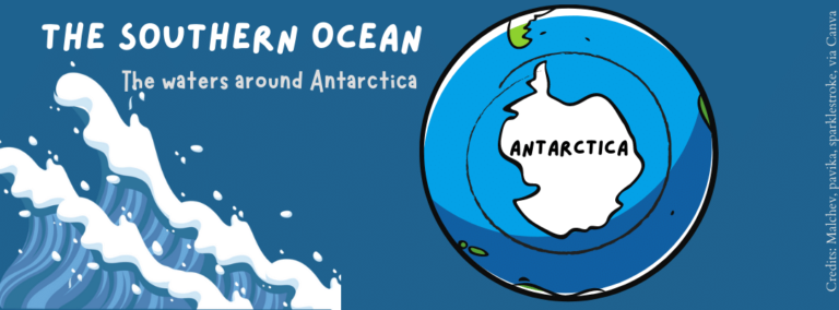 Seals help scientists study the Southern Ocean – Mongabay Kids