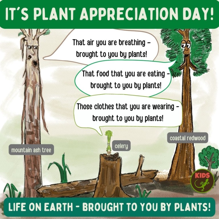 Appreciate a plant today! – Mongabay Kids