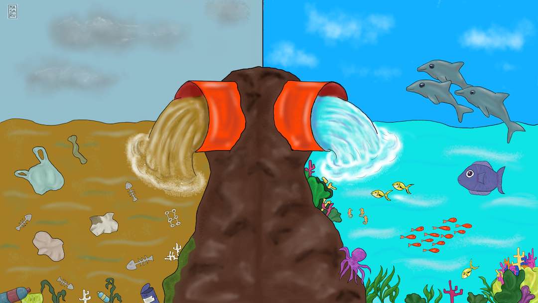 World Ocean’s Day: Why the ocean is important – Mongabay Kids