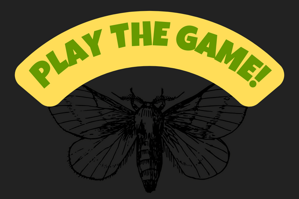 Spot the moth game – Mongabay Kids
