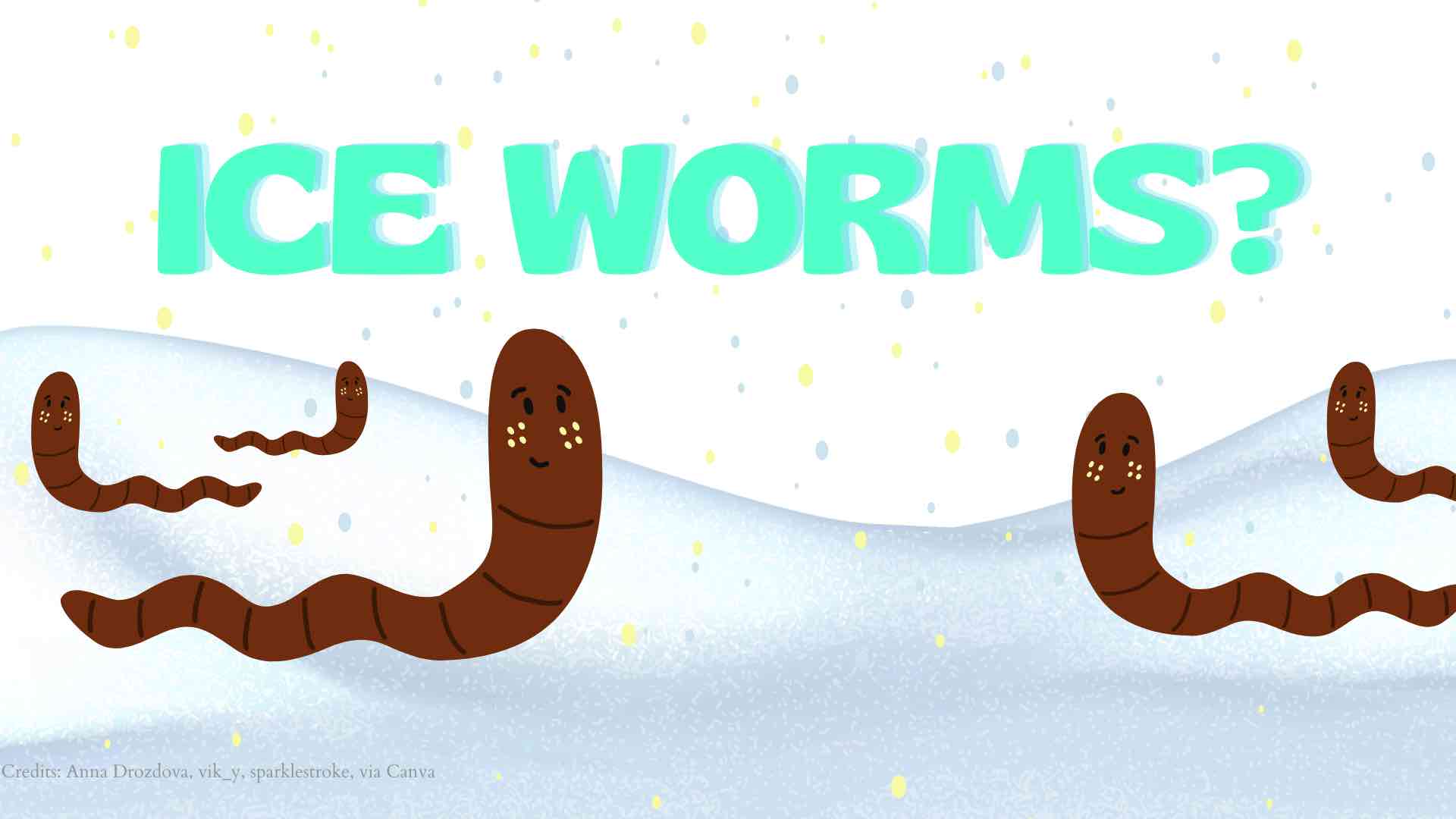 Are ice worms real? – Mongabay Kids