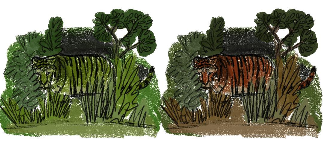 Are tigers the biggest cats? – Mongabay Kids