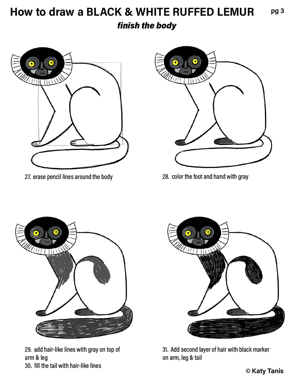 How to draw: Black-and-white ruffed lemur – Mongabay Kids