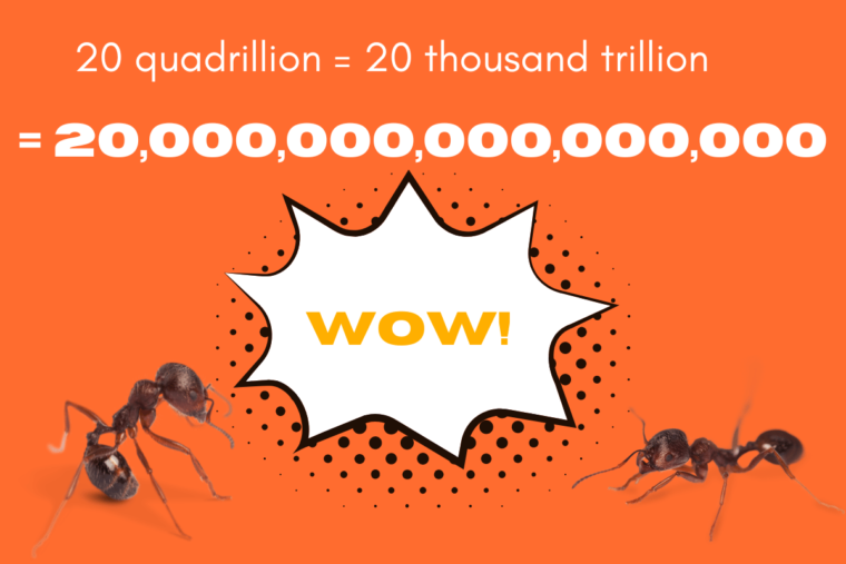 Earth is home to quadrillions of ants – Mongabay Kids