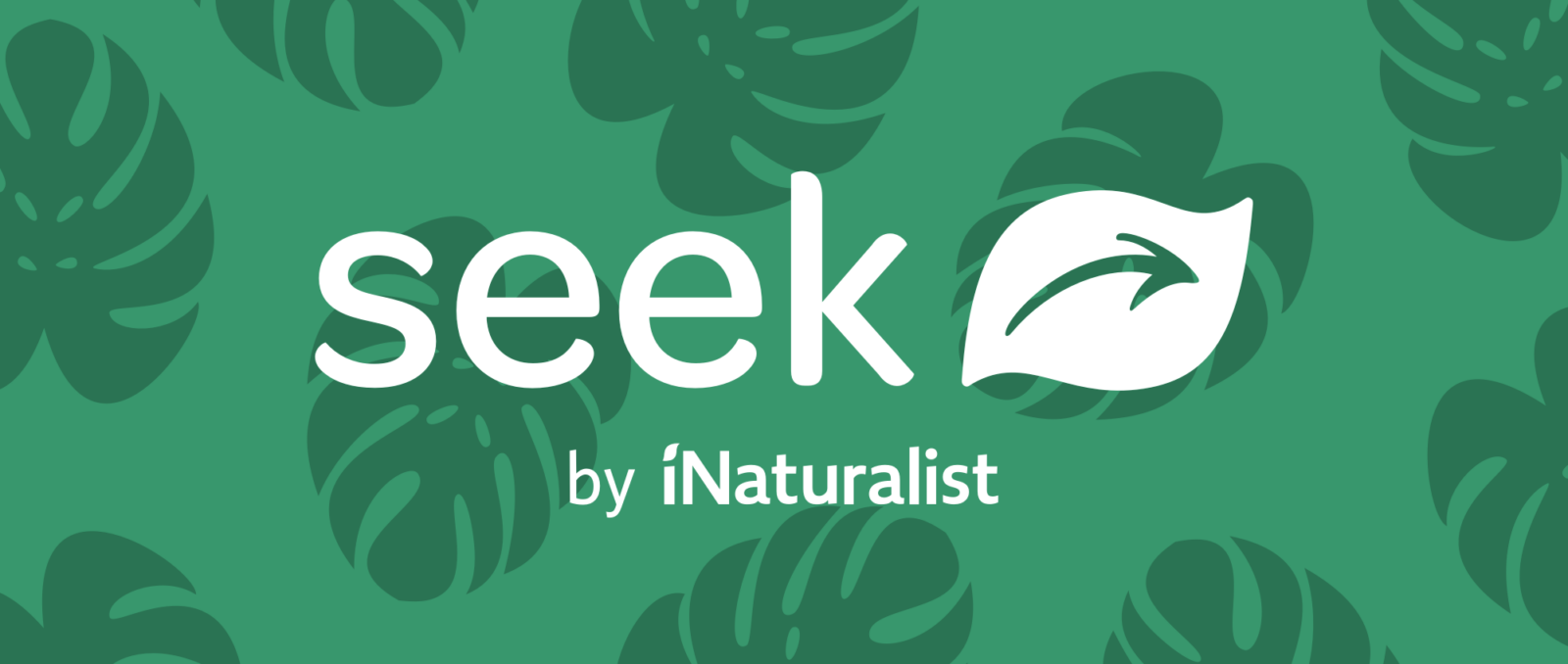 Try the July 2023 Seek challenge – Mongabay Kids
