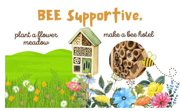 We need bees. How can you help? – Mongabay Kids