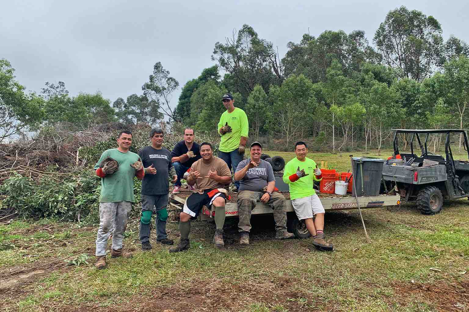 How do you regrow a forest in Hawai’i? – Mongabay Kids