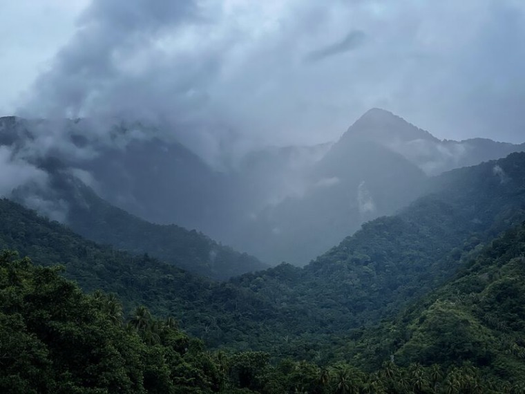 Success! Expedition finds ‘lost’ egg-laying mammal – Mongabay Kids