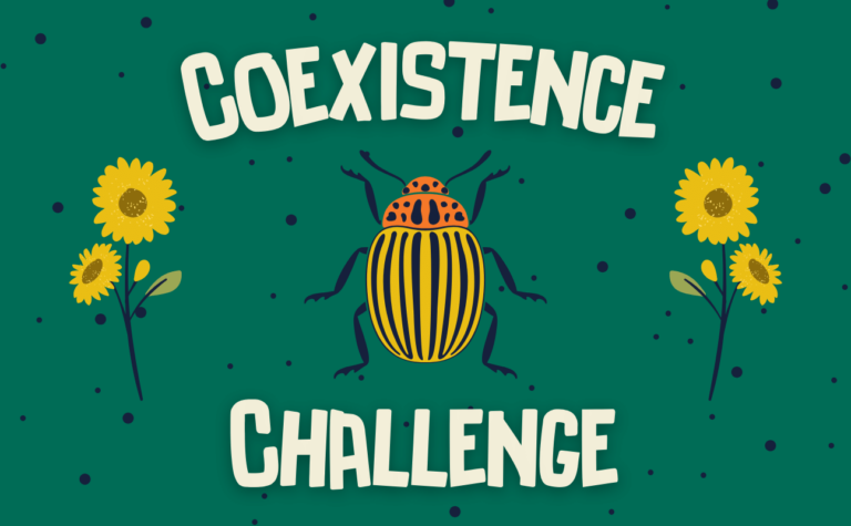 Try the April 2024 Seek challenge! – Mongabay Kids
