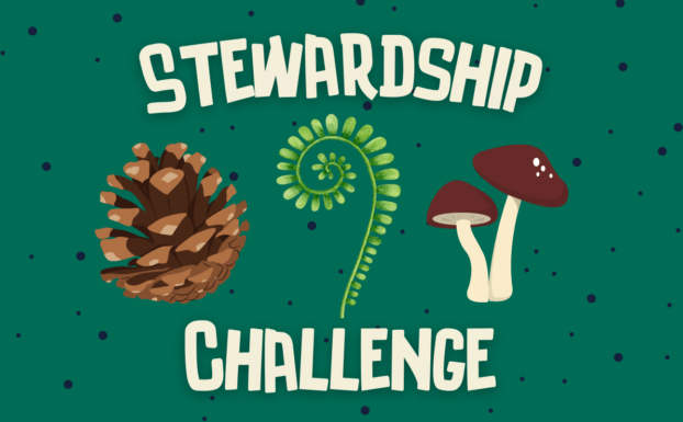 Try the March 2024 Seek challenge! – Mongabay Kids