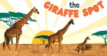 What are ossicones? And why do giraffes have spots? – Mongabay Kids