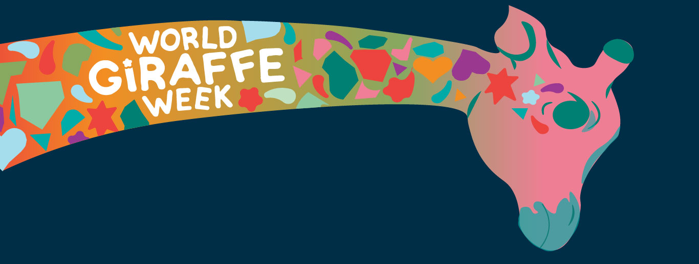 World Giraffe Week 2024: Super spots! – Mongabay Kids
