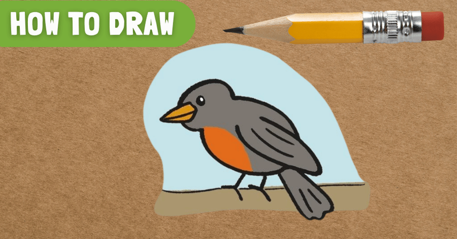 How to draw: Bird – Mongabay Kids