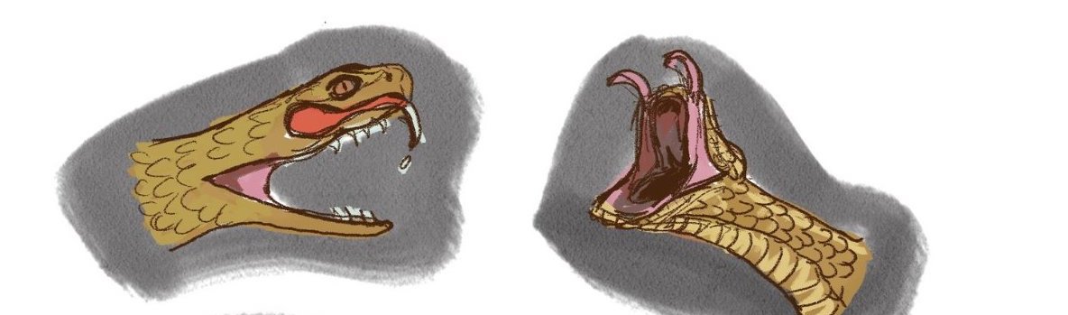 Sssuper snakes – Mongabay Kids