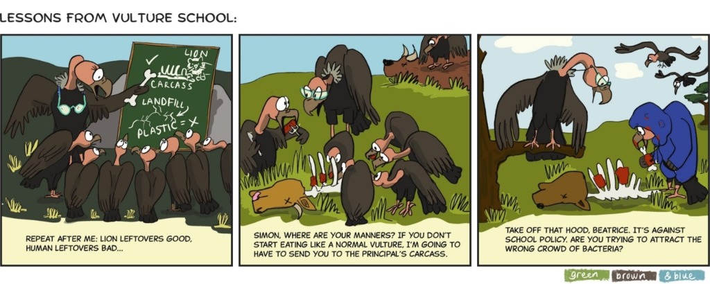 Why do we need vultures? – Mongabay Kids