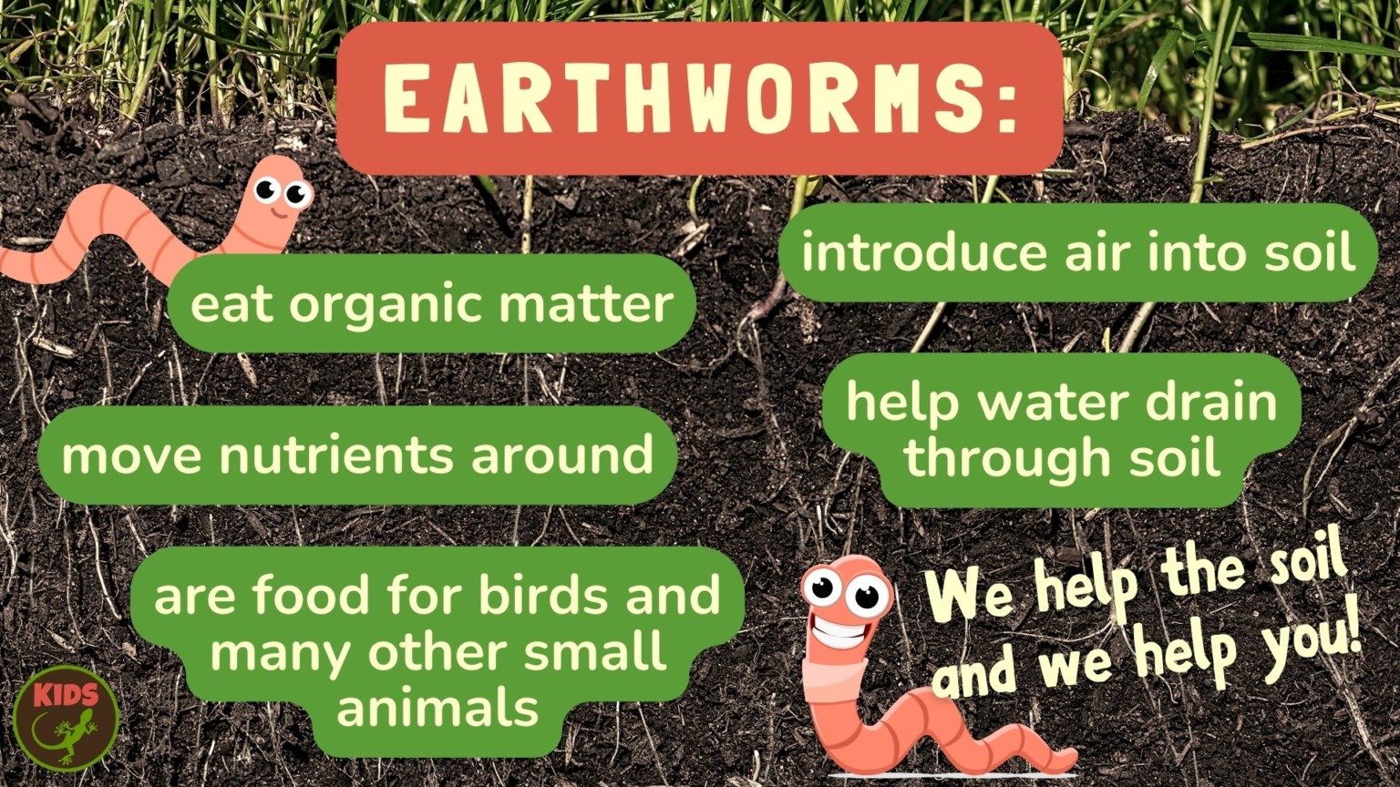 Spot the difference: Earthworms are great! – Mongabay Kids