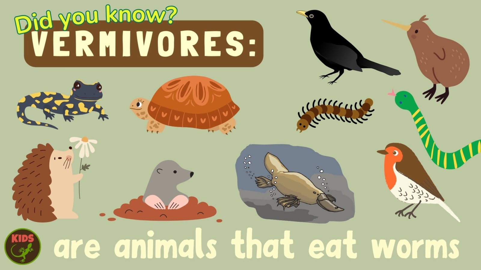 Spot the difference: Earthworms are great! – Mongabay Kids