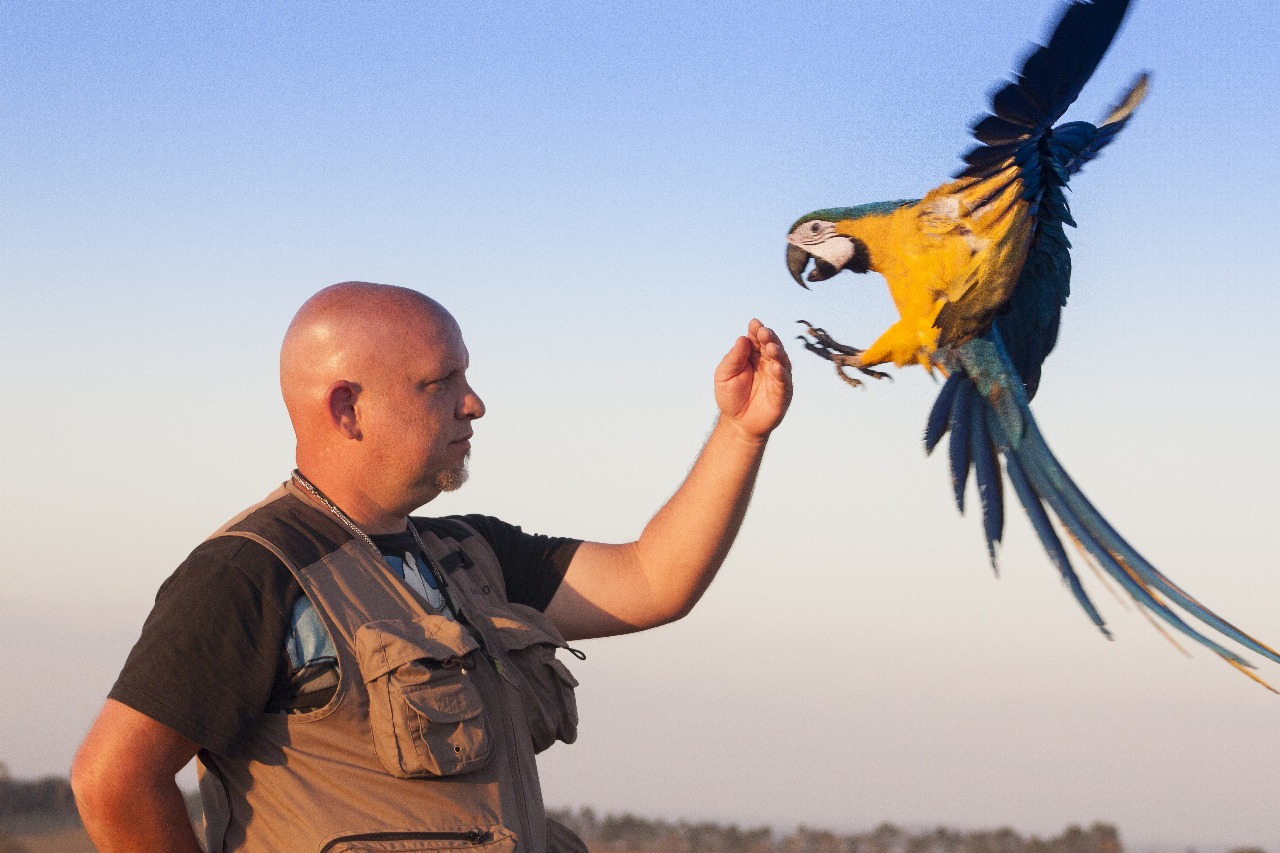Macaws learn how to fly and survive in the wild in Brazil – Mongabay Kids