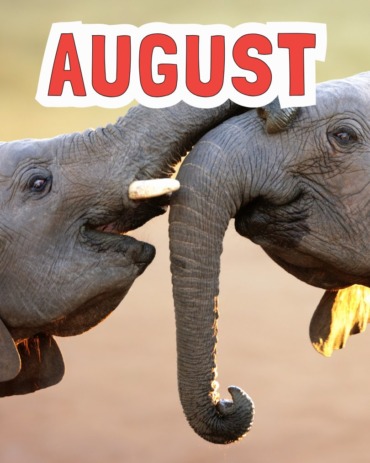 Environmental Awareness Days Calendar – Mongabay Kids