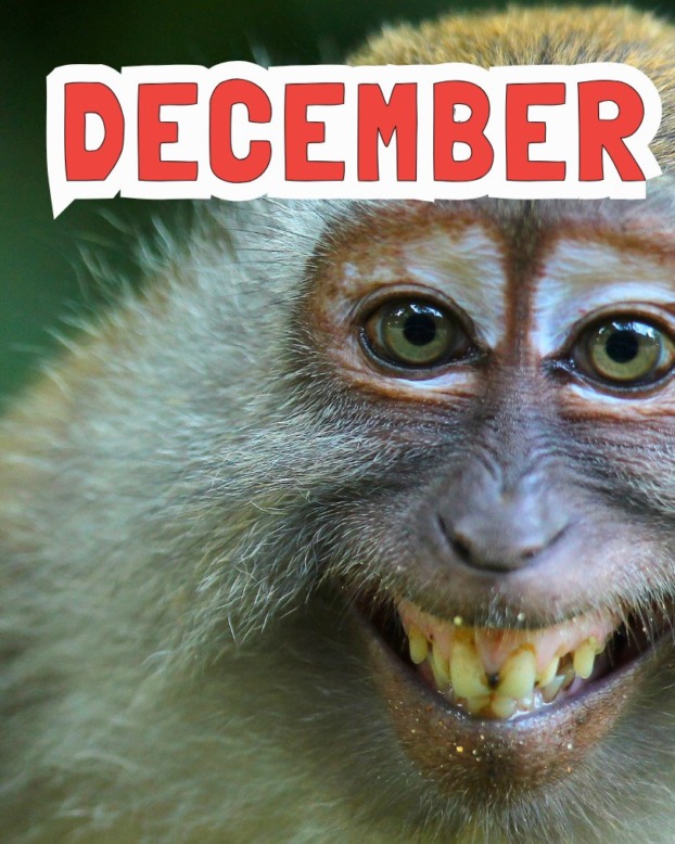 Environmental Awareness Days Calendar – Mongabay Kids