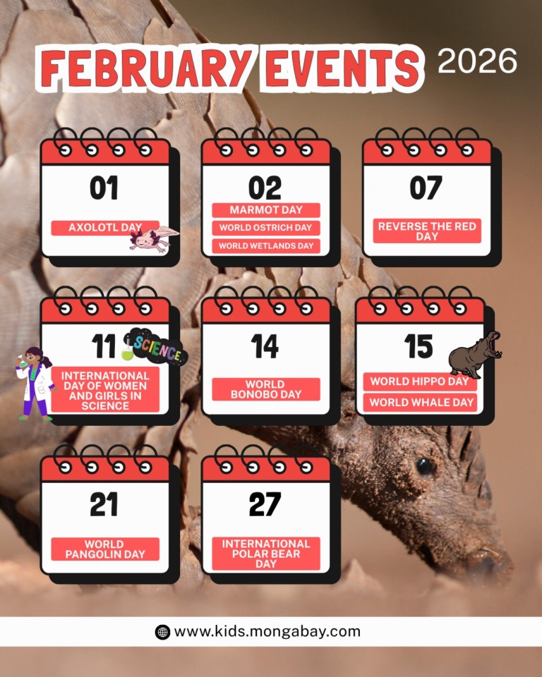 Environmental Awareness Days Calendar – Mongabay Kids