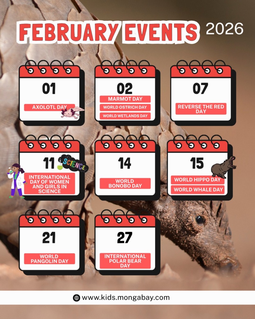 Environmental Awareness Days Calendar – Mongabay Kids