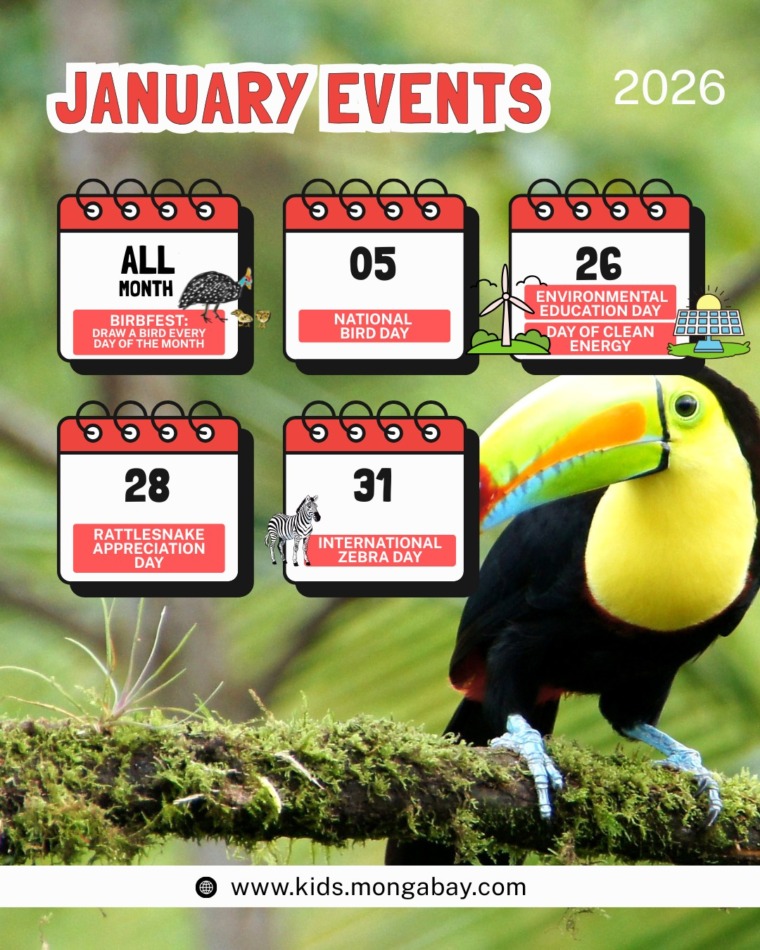 Environmental Awareness Days Calendar – Mongabay Kids