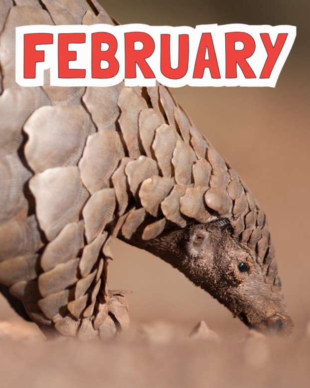 Environmental Awareness Days Calendar – Mongabay Kids