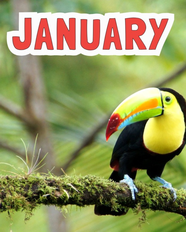 Environmental Awareness Days Calendar – Mongabay Kids