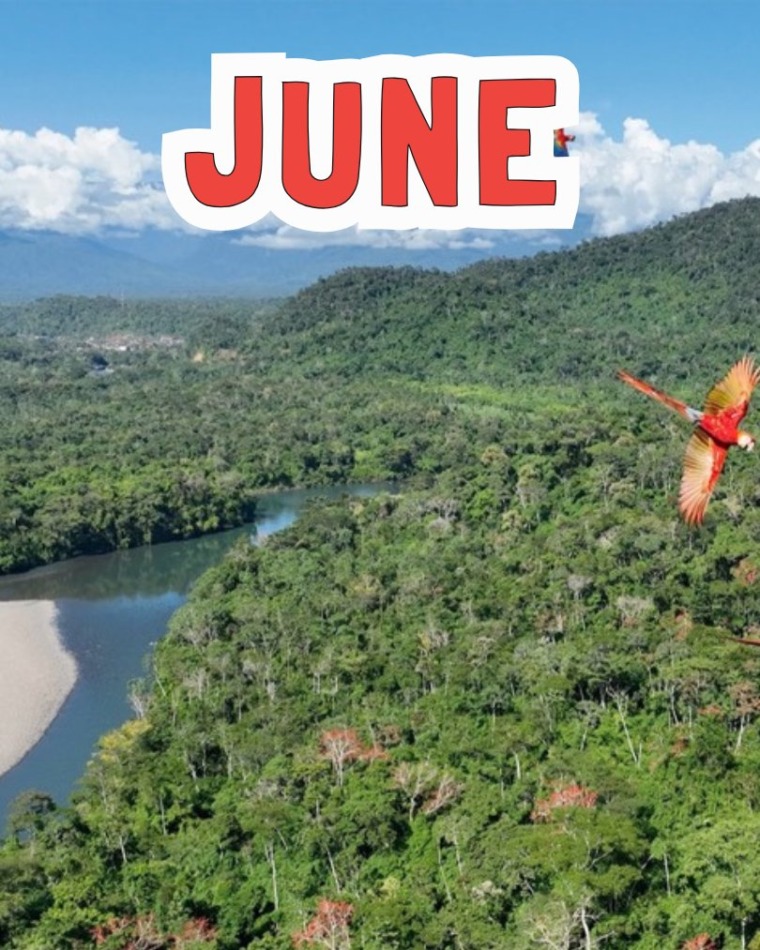 Environmental Awareness Days Calendar – Mongabay Kids