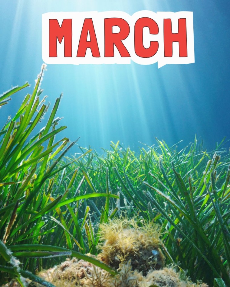 Environmental Awareness Days Calendar – Mongabay Kids