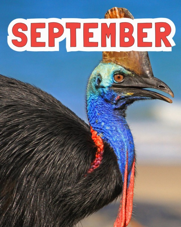 Environmental Awareness Days Calendar – Mongabay Kids