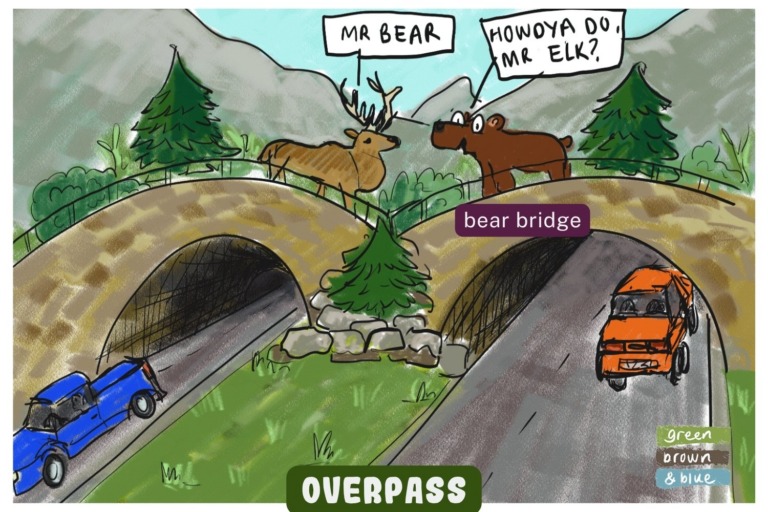 How wildlife crossings help animals and connect habitats – Mongabay Kids